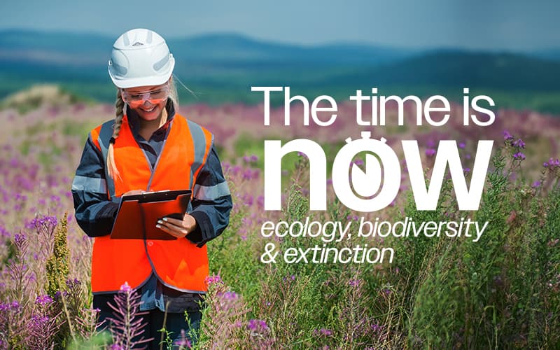 Gain Virtual Work Experience. Earn certificates - 100% free! | Springpod