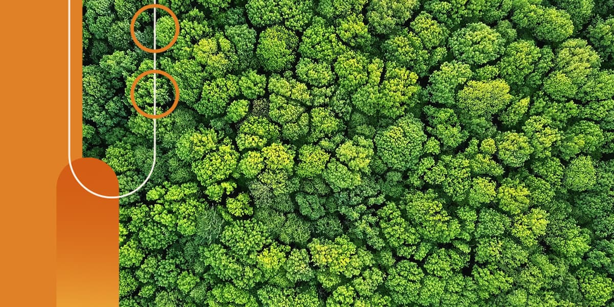 Sustainability Unveiled: Virtual Work Experience in Green Careers ...