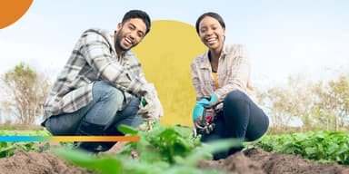 Gain Virtual Work Experience. Earn certificates - 100% free! | Springpod